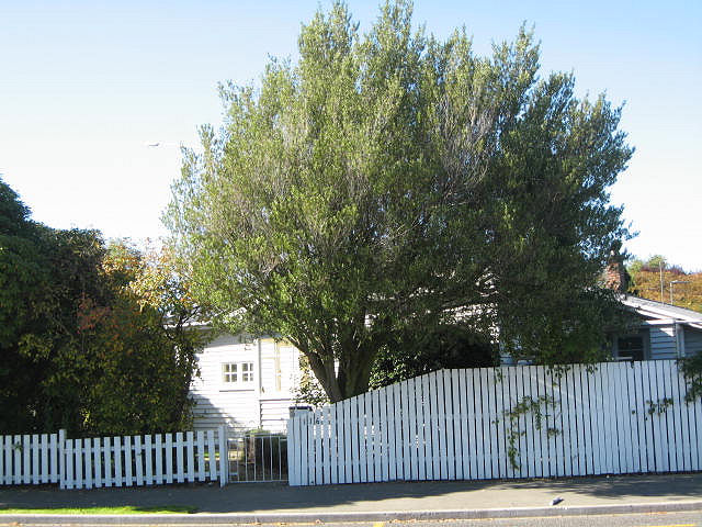 116 Idris Road, Bryndwr, Christchurch - QV