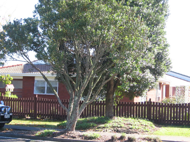 21C Moenui Avenue, Orewa - QV