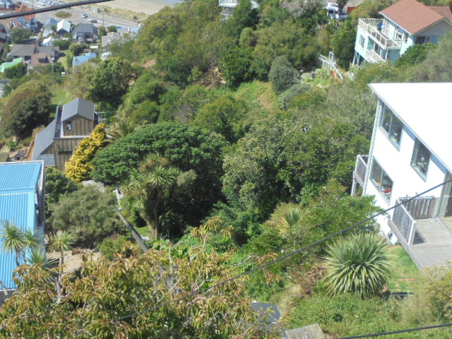 127 Hornsey Road, Melrose, Wellington - QV