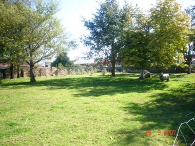 24A Stewart Street, Balclutha - QV